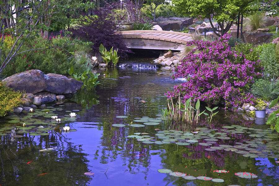 Spring Pond Photograph by Layne Adams - Fine Art America