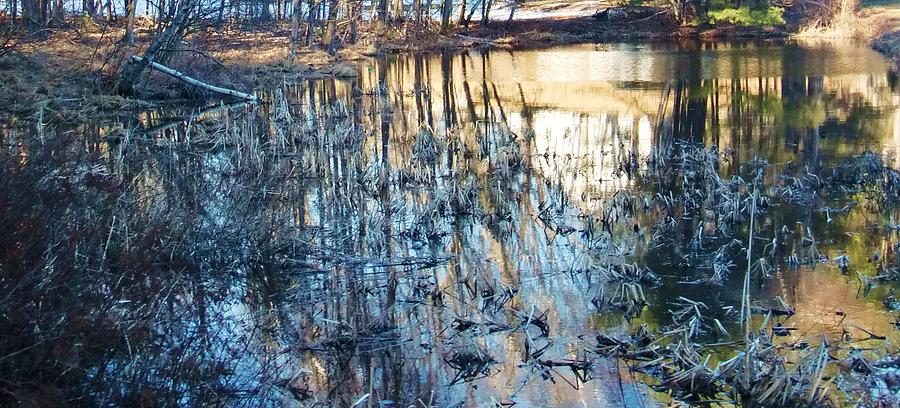 Spring Reflection Photograph by Kat Hall - Fine Art America