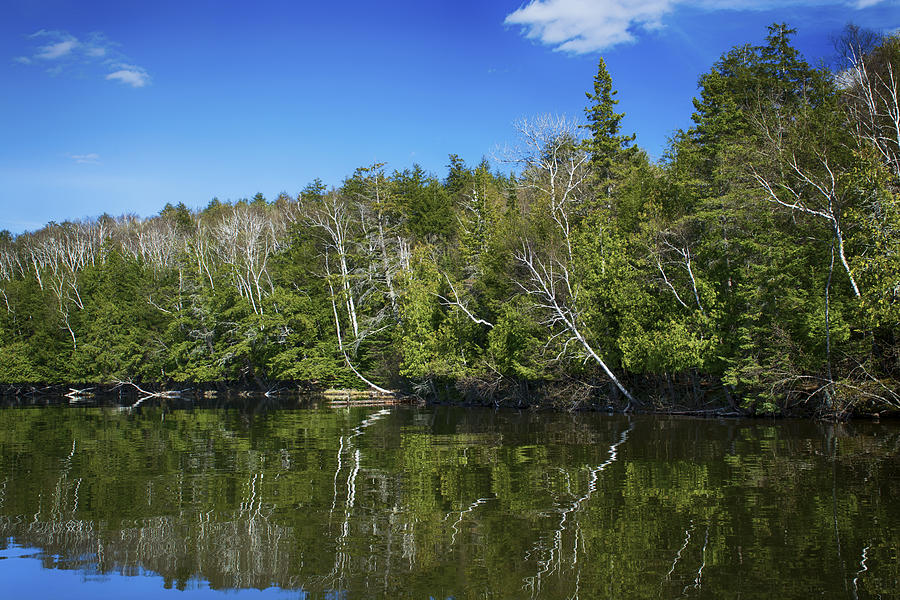 Spring Reflections Photograph by Dan Hefle - Fine Art America