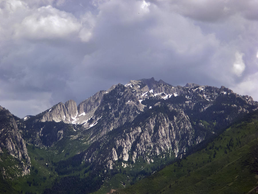 Spring Returning Photograph by Richard Malin | Fine Art America