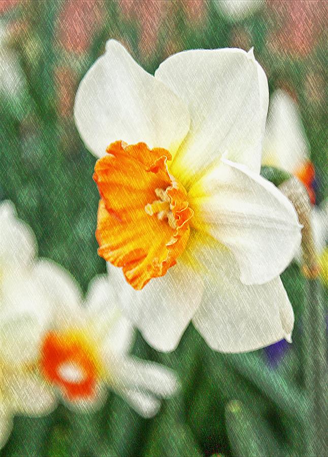 Spring Texture Photograph by Cathie Tyler - Fine Art America