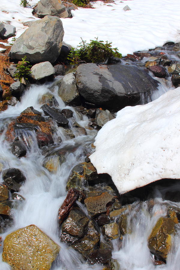 Spring Thaw Photograph by Veritas Imagery NW - Fine Art America