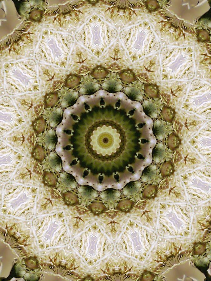 Spring Time Photograph by Anthony Walker Sr - Fine Art America