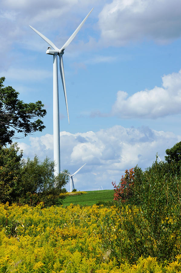 Spring Windmill Photograph by Dennis Comins - Fine Art America