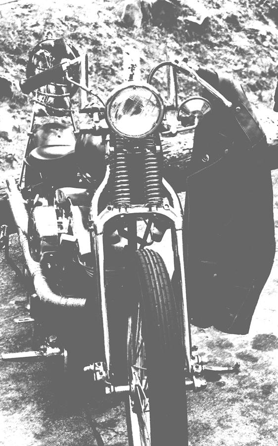 Springer Photograph by Joe Bledsoe - Fine Art America