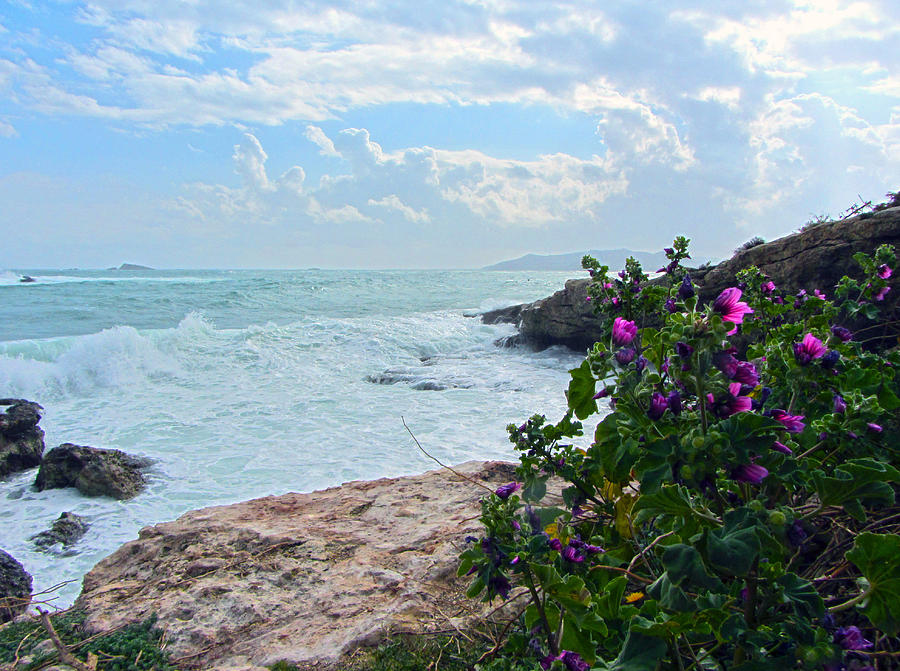 Springtime on the island Photograph by Saraya Pfeiffer - Fine Art America