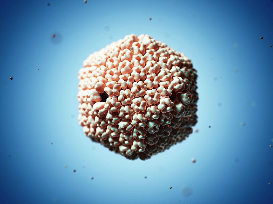 Sputnik Virophage Particle Photograph by Sciepro/science Photo Library - Pixels