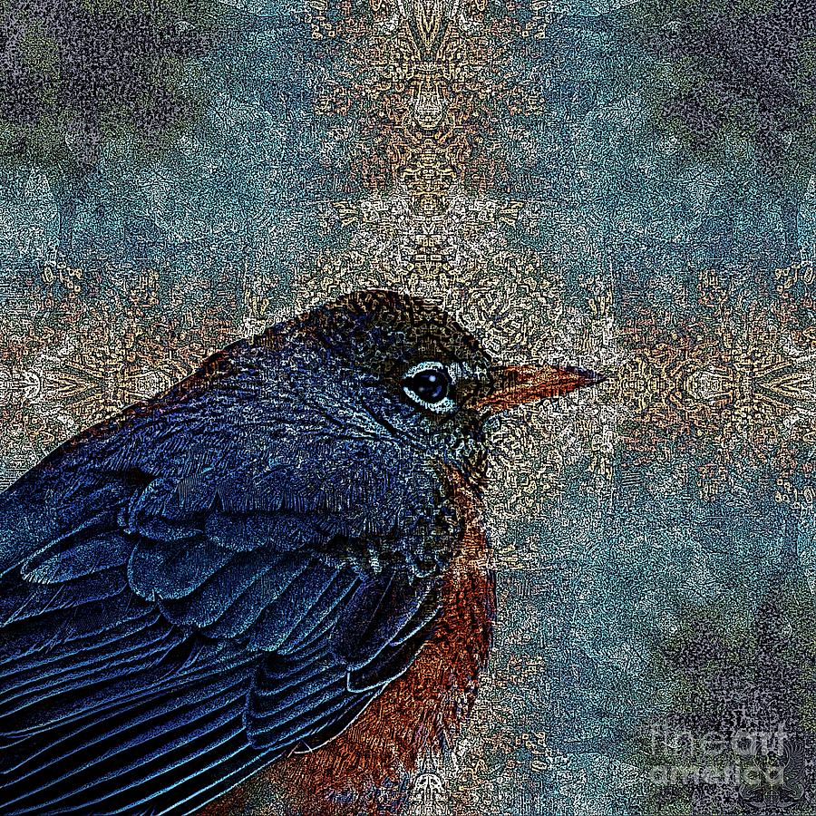 Sq Robin Z L2 Wd2 Photograph by Dale Crum - Fine Art America