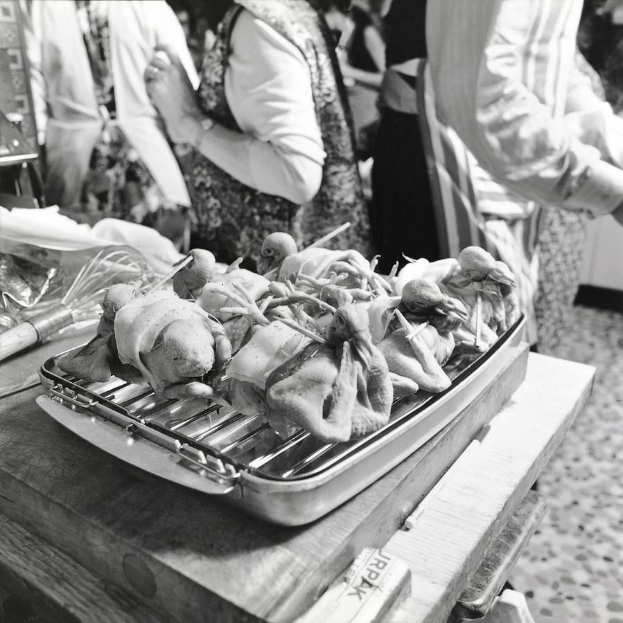 Squab by Ernst Beadle