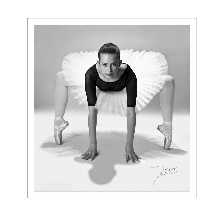 Squared Photograph by Wayne Tarr - Fine Art America