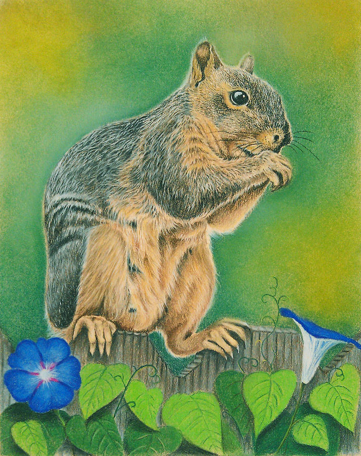 Squirrel Pastel by Amani Warrington - Fine Art America