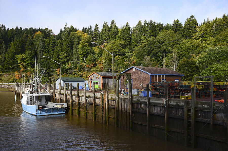 St Martin Harbor Photograph by Jacki Marino - Fine Art America
