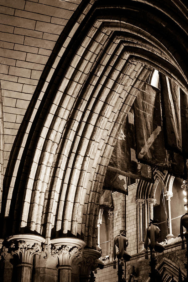 St Patricks Photograph by Michael Sumpter - Fine Art America