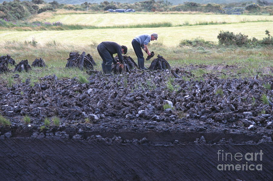 Stacking Peat Photograph by Chris Selby - Fine Art America