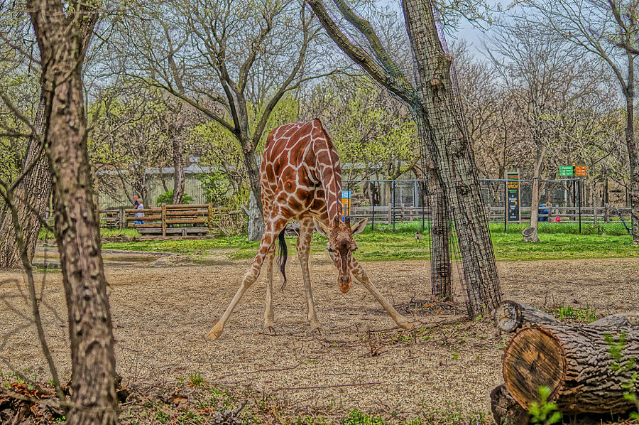Standing Photograph by Christopher Muto