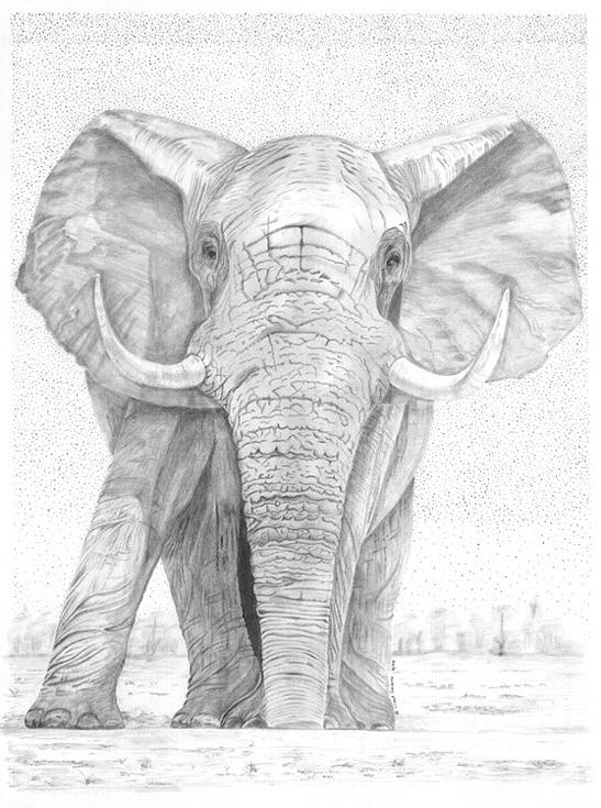 Standoff Drawing by Lloyd Gardner - Pixels