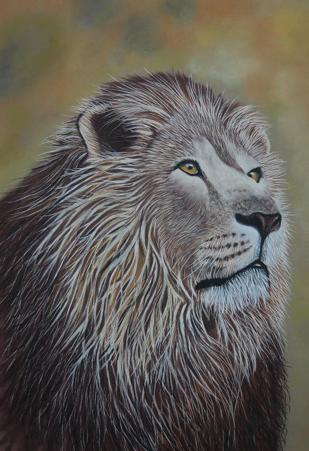 Stargazing Pastel by David Bennett - Fine Art America