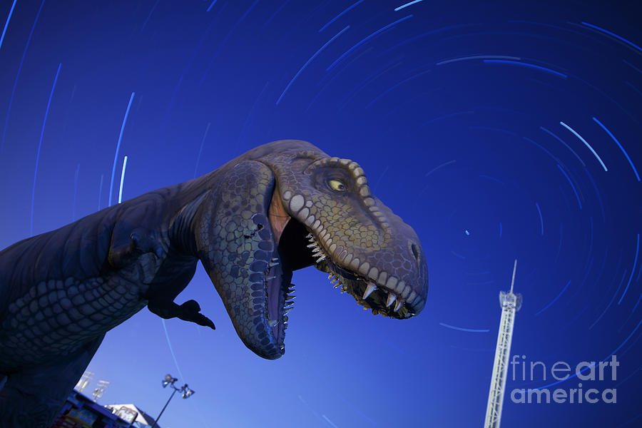 Staring T-Rex Photograph by Amanda Stevens - Pixels