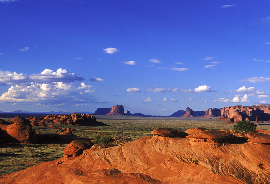 Statues Photograph by Nick Authement - Fine Art America