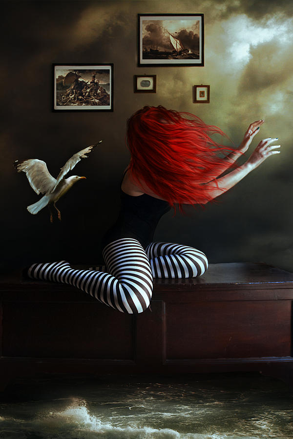 Steady Sailing Photograph by Veronica Morphine - Pixels