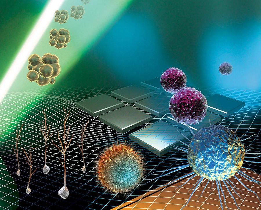 The micro-world Photograph by Epstudio Design - Pixels