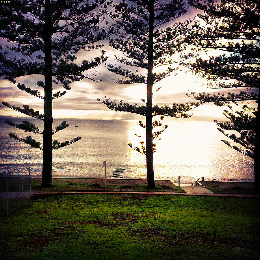 Step Into Light Photograph by Edwin Vincent - Pixels