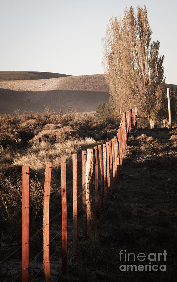 Steppe and fence Photograph by Lucas Guardincerri - Fine Art America