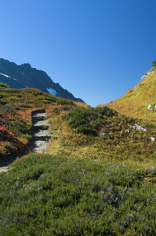 Steps On Empty Mountain Trail Photograph by Frank Huster