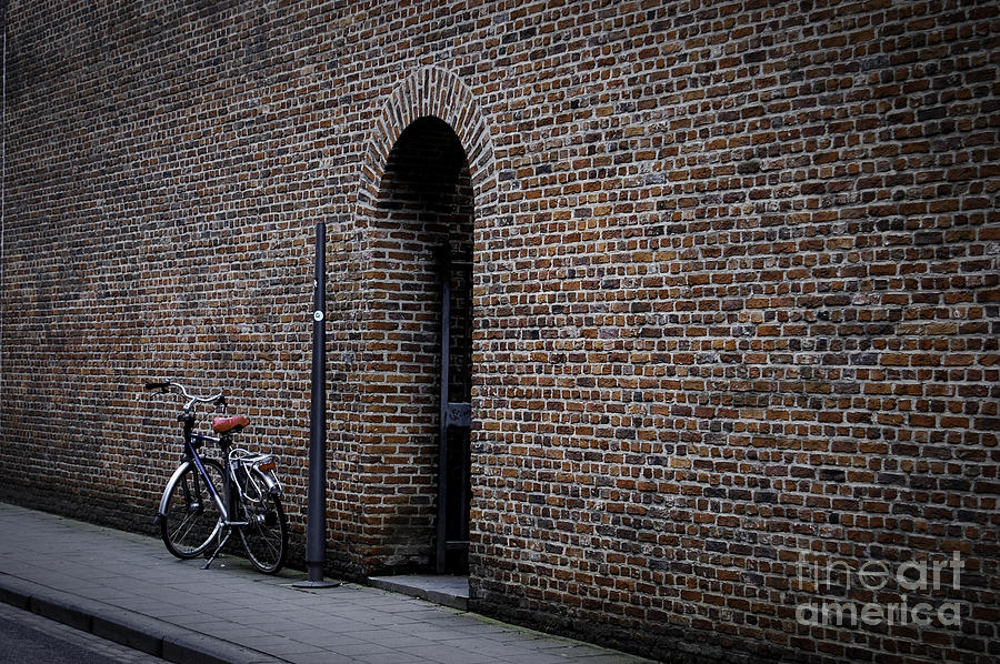 Still Photograph by Danielle Keating - Fine Art America