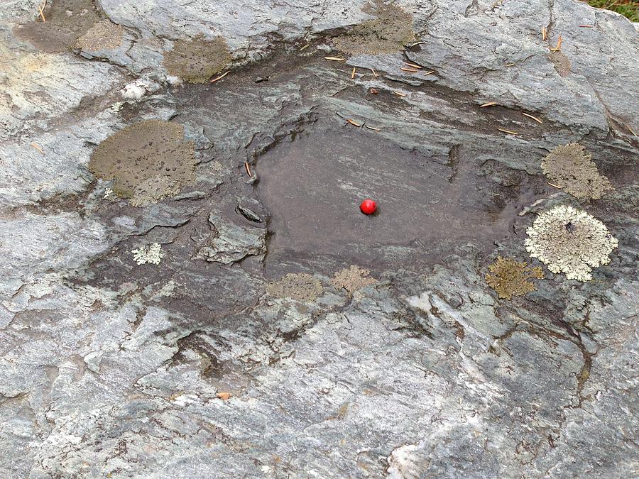Stone puddle Photograph by Ron Torborg - Pixels