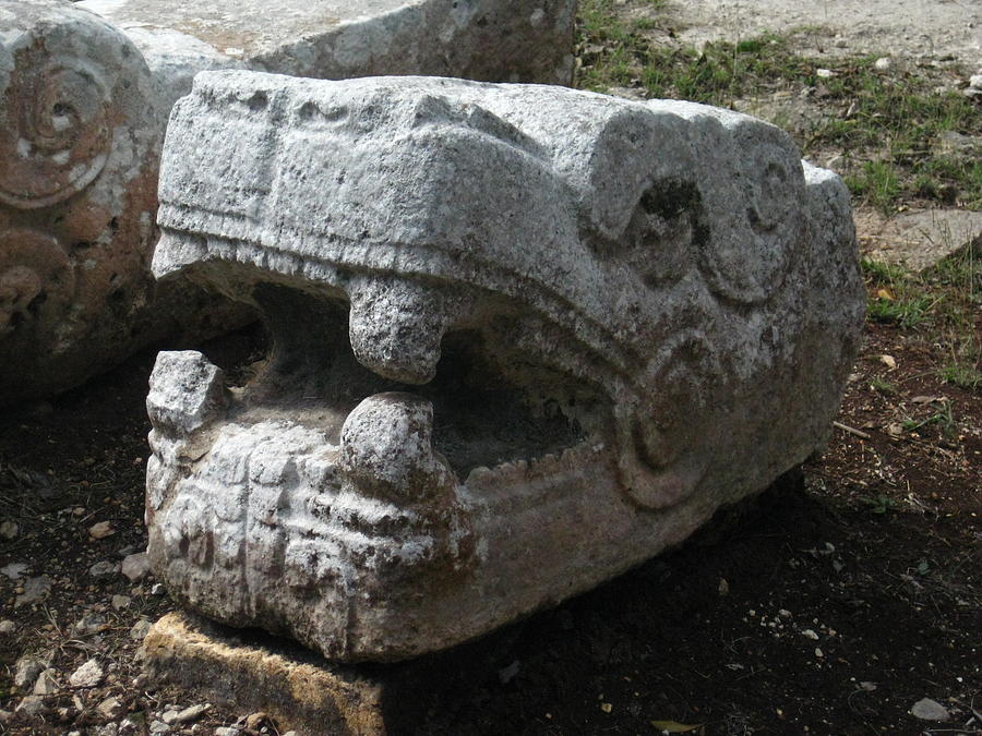Stone Snake Photograph by Casey Dabrowski - Fine Art America