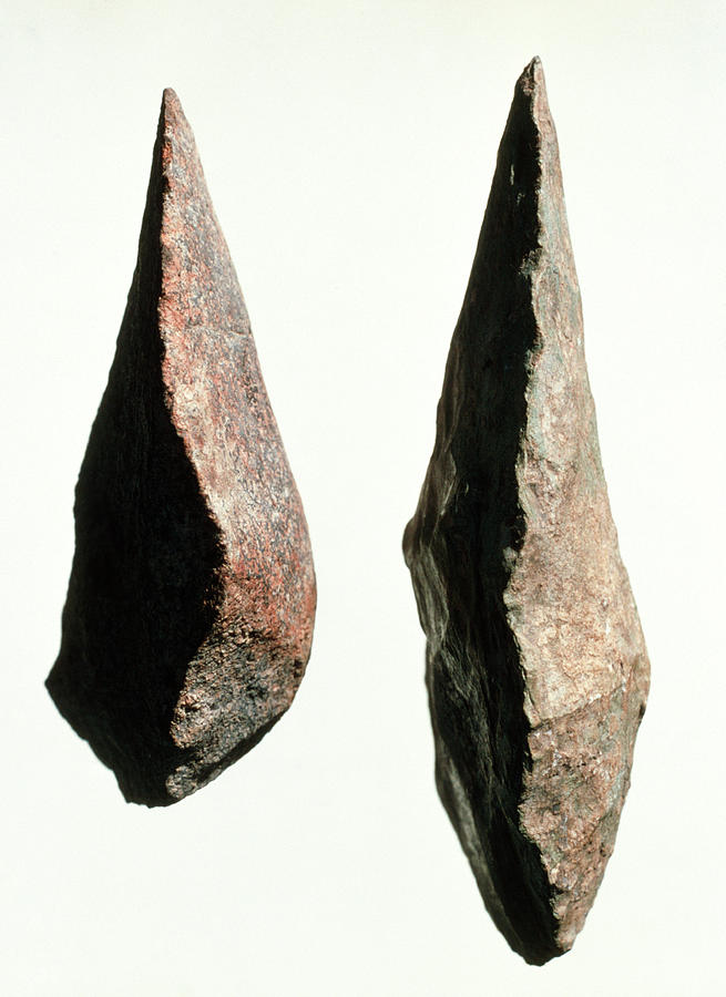 Stone Tools by Science Photo Library