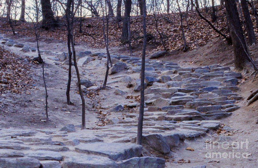 Stoney Path Photograph by Carol Weitz - Fine Art America