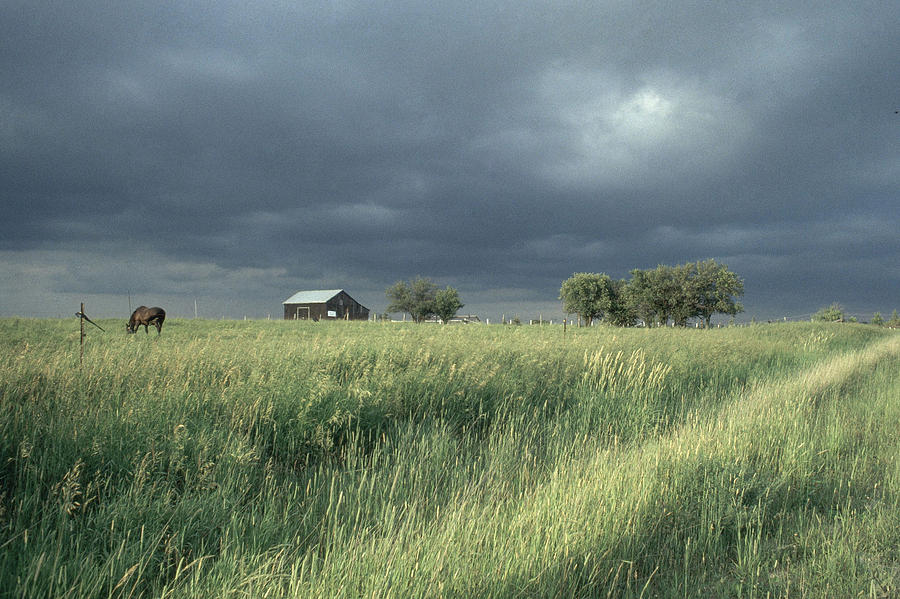 Stormy Fields Photograph by John Mitchell - Fine Art America