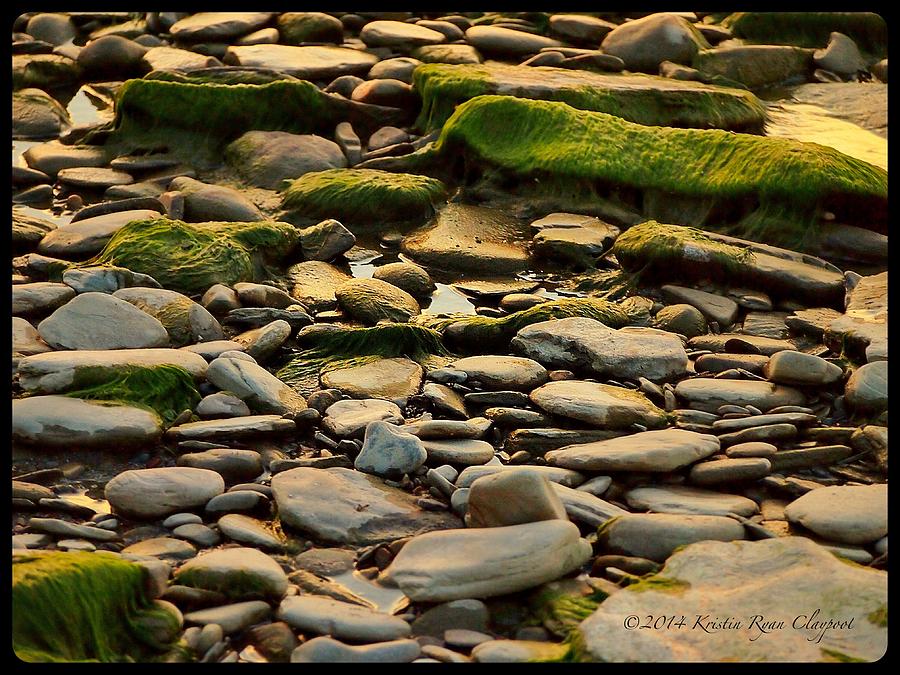Stream Bed Photograph by Kris Ryan Claypool - Pixels