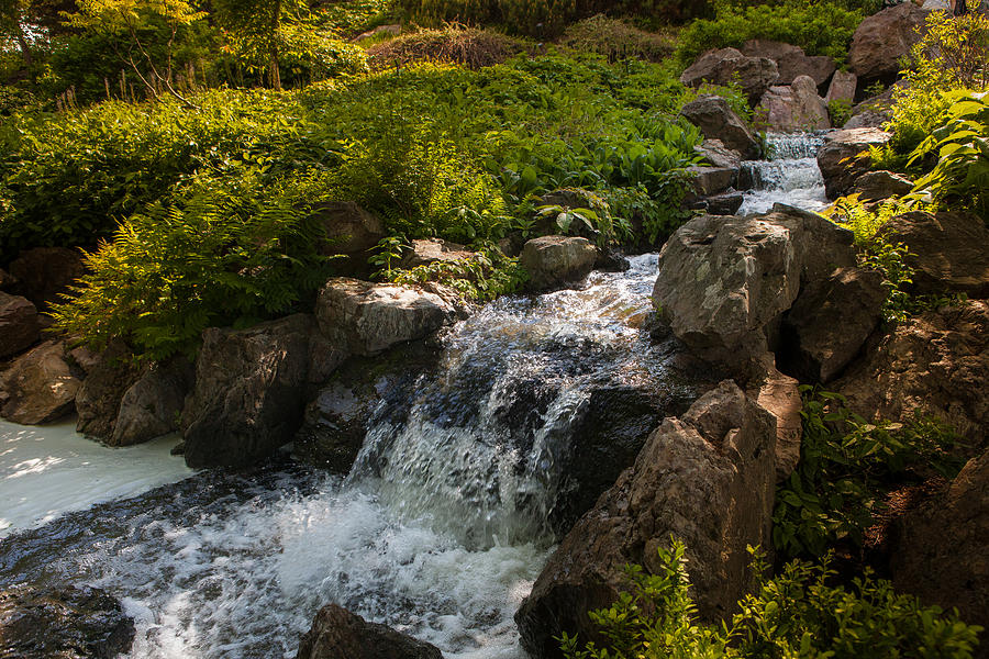 Stream Flow Photograph by Leo Thomas Garcia - Pixels