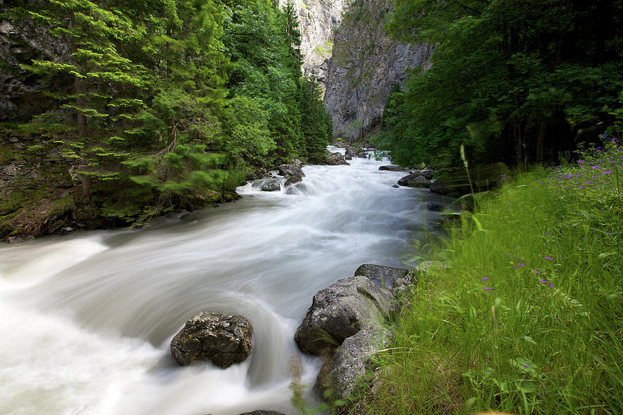 Stream Photograph by Massimo Merlini - Fine Art America