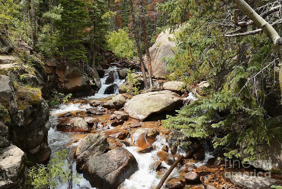 Stream Photograph by Phillip Flusche - Fine Art America