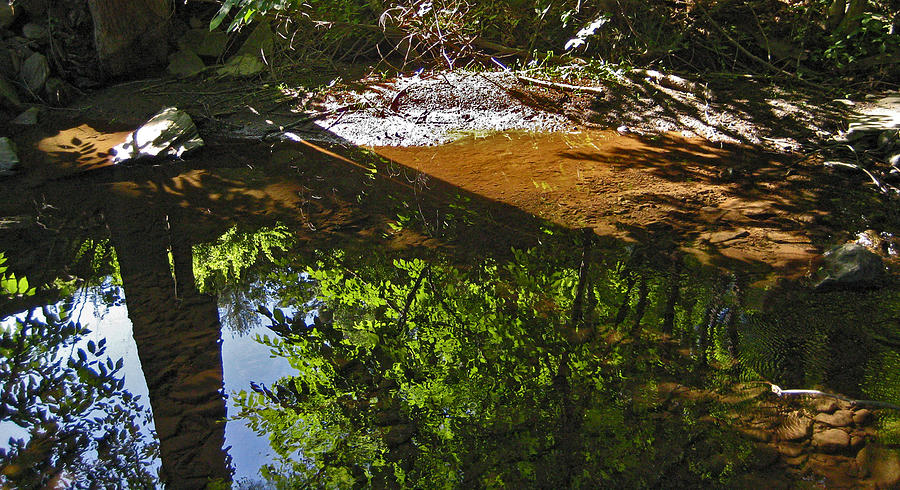 Stream Reflections Photograph by George Lodge | Fine Art America