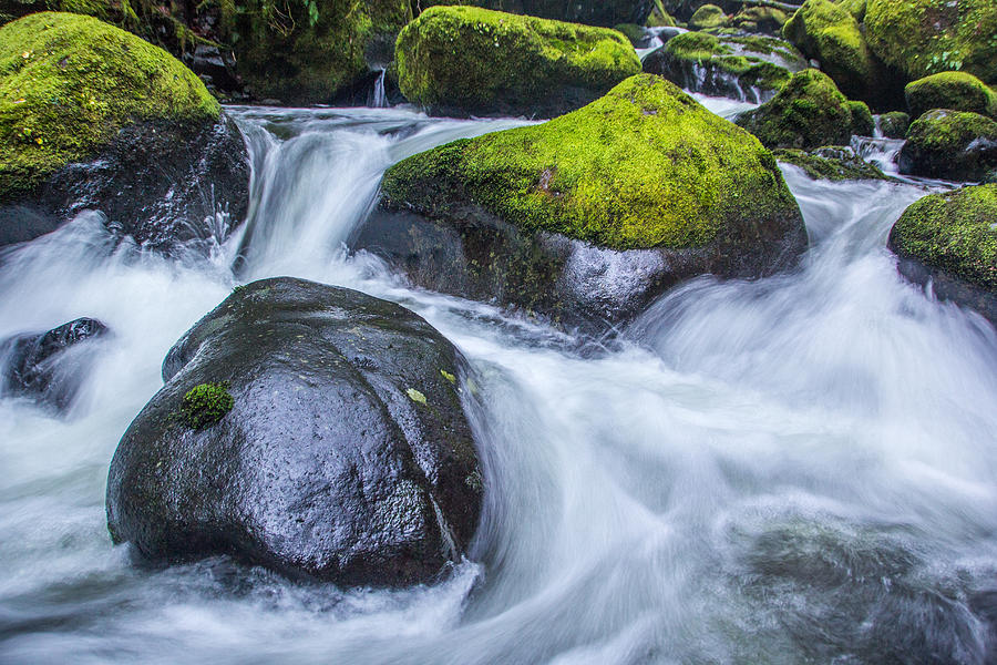 Stream Photograph by Scott Sutton - Fine Art America