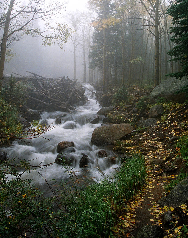 Streamside In Fall Photograph by Jerry Bargar - Fine Art America