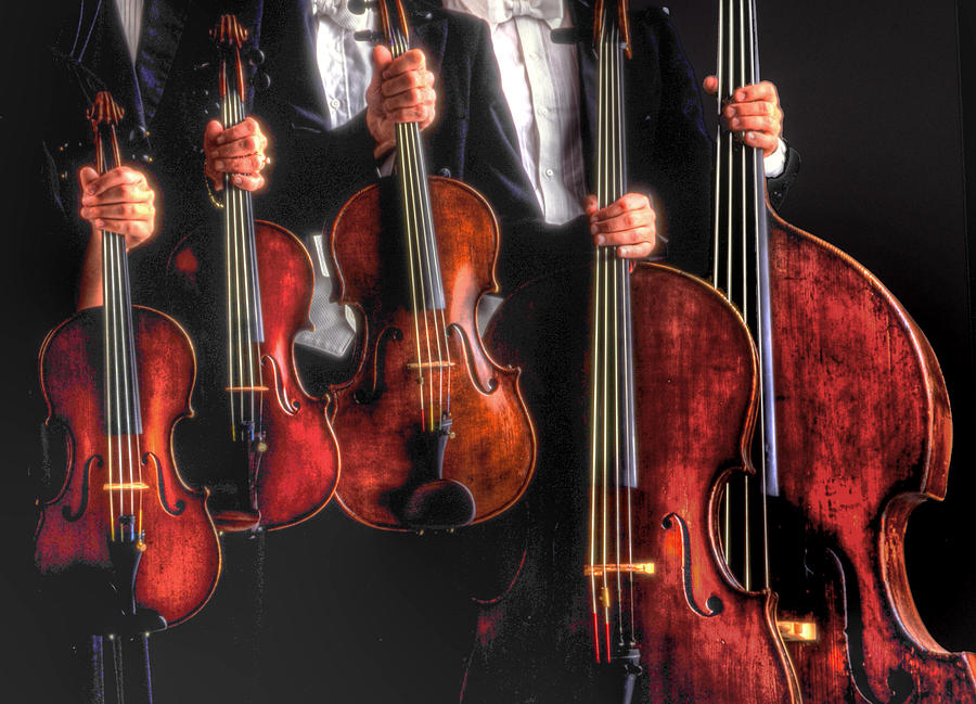 Stringed Instruments by Don Wolf