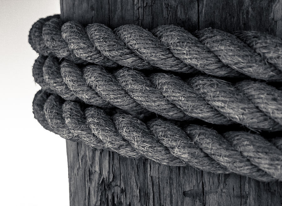 Strong Bond Pyrography by Philip Brunner - Fine Art America