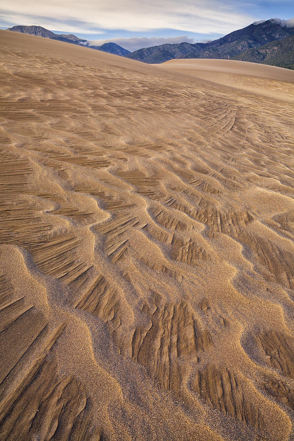 Substrate Photograph by Morris McClung - Fine Art America