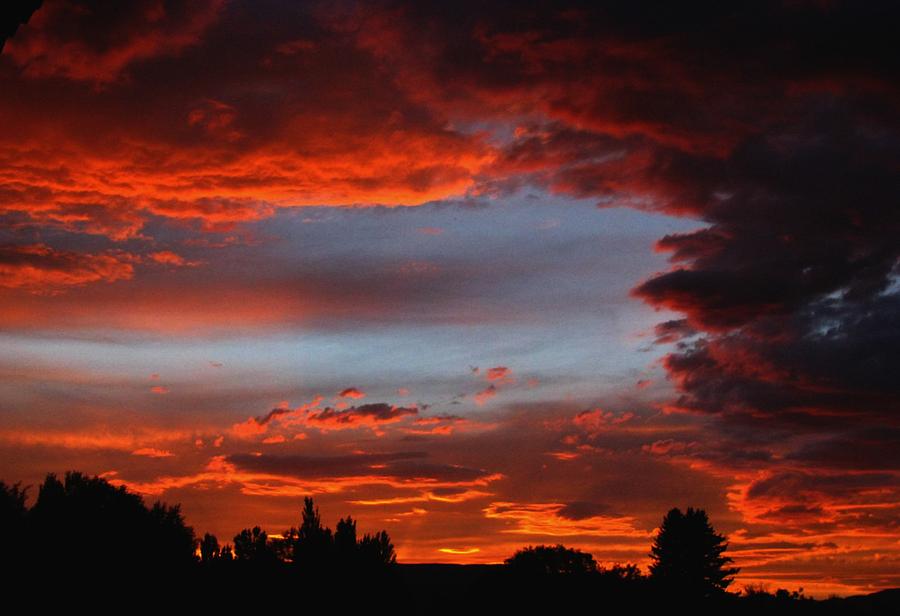 Subtle Rage Photograph by Tammy Marsh - Fine Art America