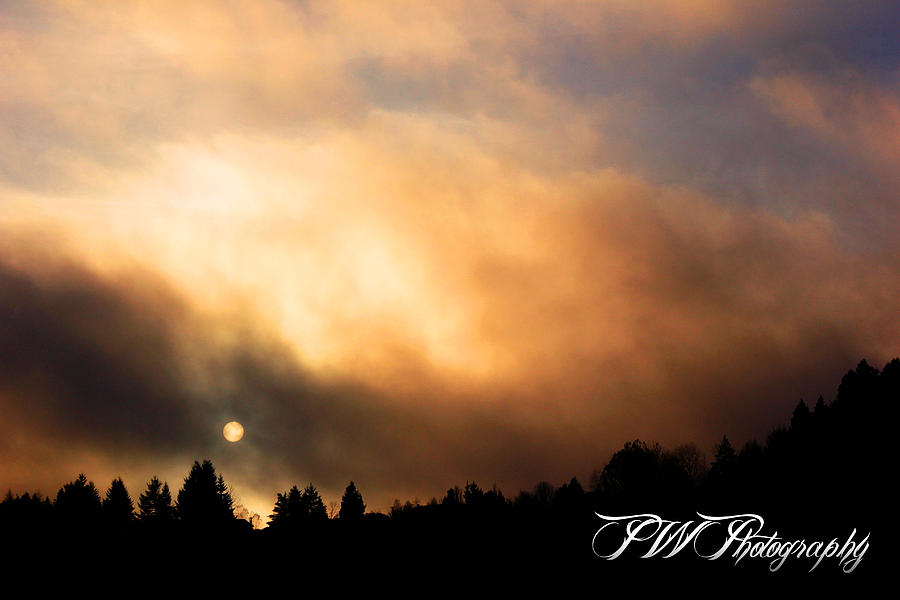 Subtle Sun Photograph by Patrick Williams - Fine Art America