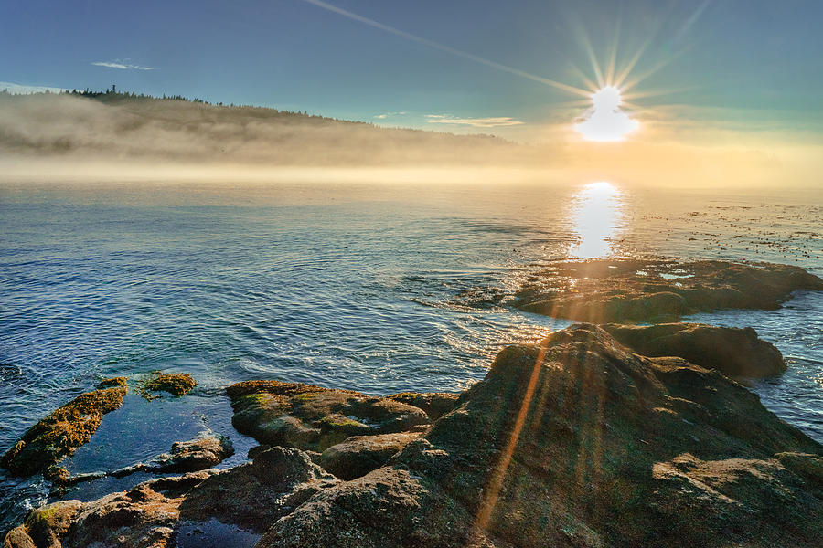 Sun and Fog Photograph by Geoffrey Ferguson - Fine Art America