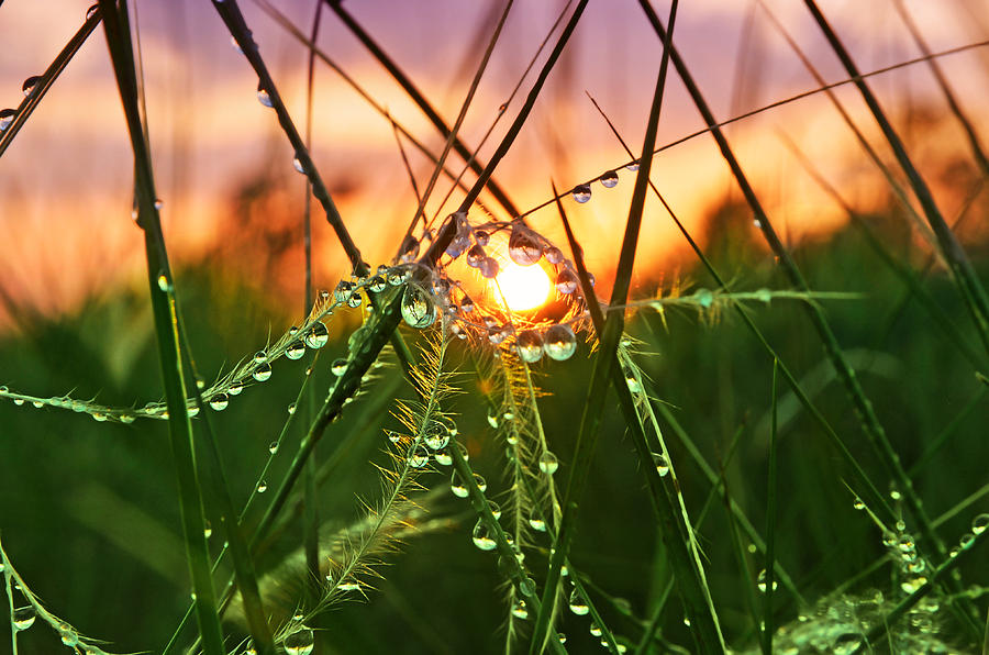 Sun Eye Photograph by Ivan Ralchev - Fine Art America