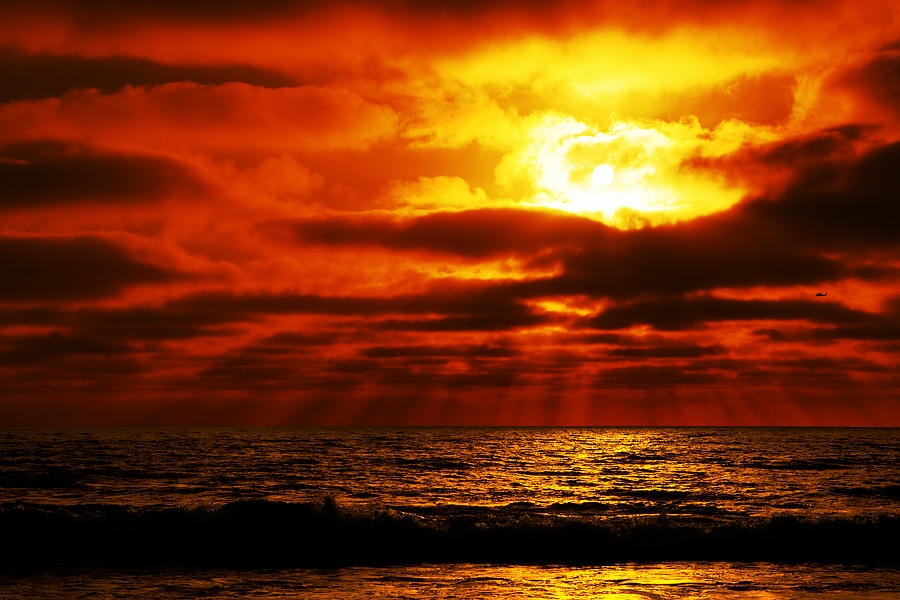 Sun Rays Photograph by Nicole Swanger - Fine Art America