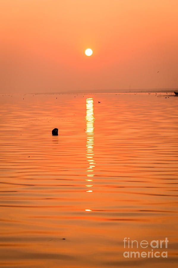 Sun reflection Photograph by Vijay Sonar - Fine Art America